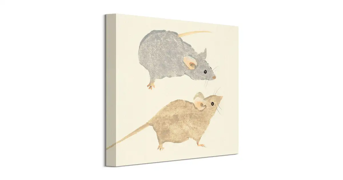Timid Mice - obraz na płótnie - Galeria Plakatu