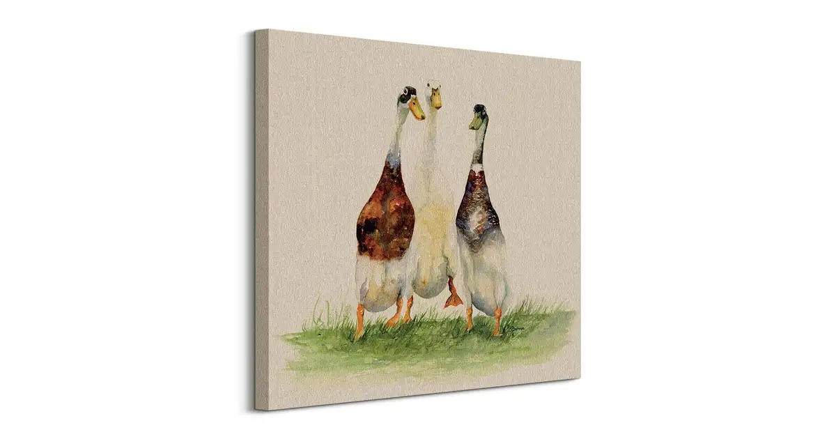 Dilly, Roly & Henry - obraz na płótnie - Galeria Plakatu