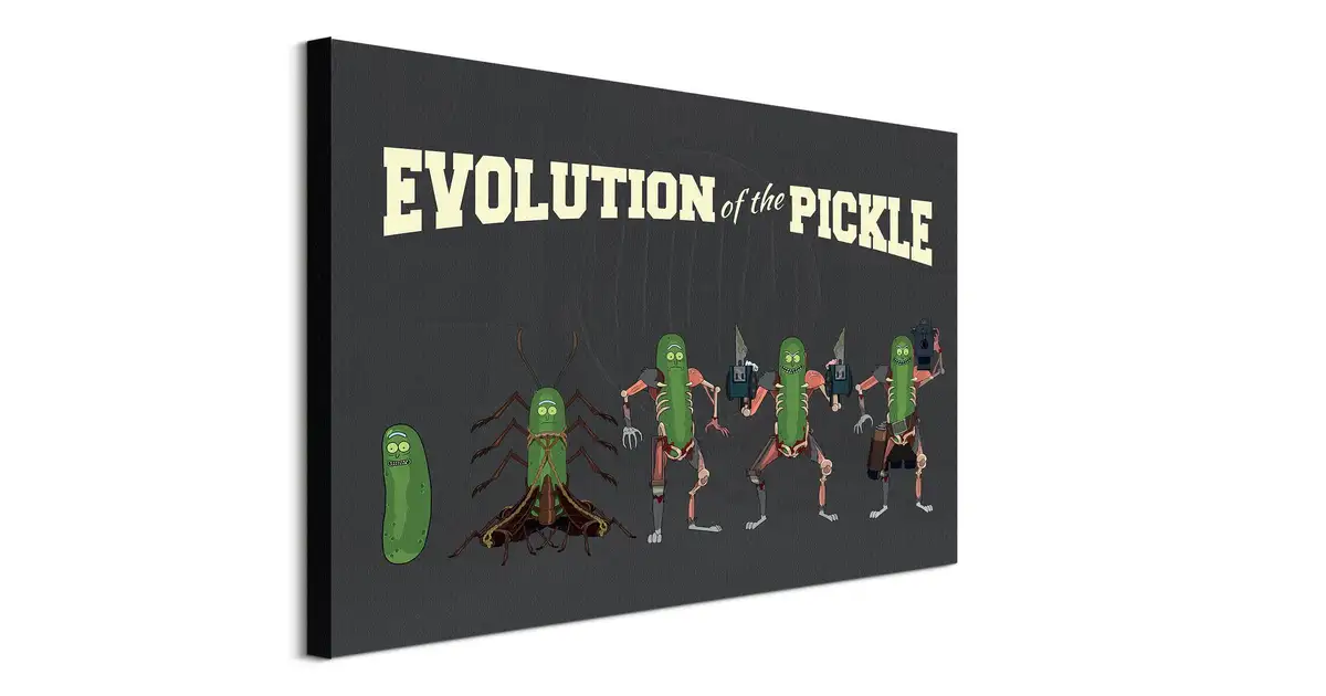 Rick and Morty Evolution Of The Pickle - obraz na płótnie - Galeria Plakatu