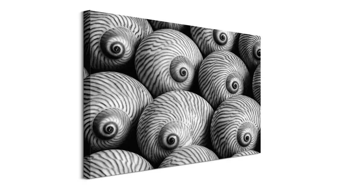 Striped Moon - obraz na płótnie - Galeria Plakatu