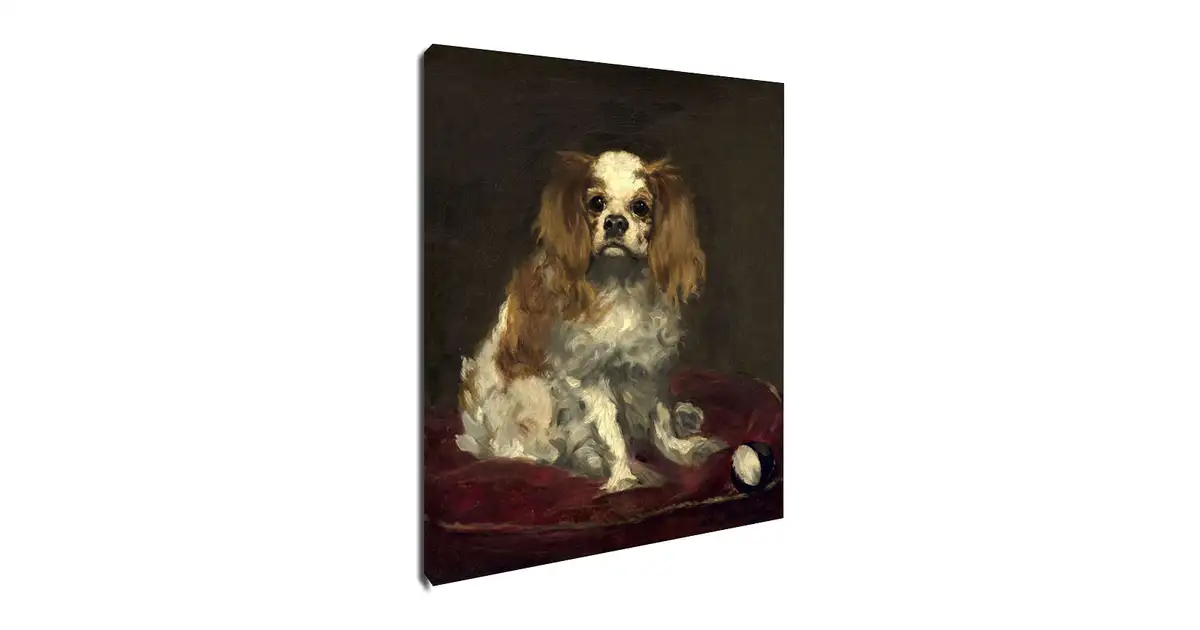 A King Charles Spaniel, Edouard Manet - obraz na płótnie - Galeria Plakatu