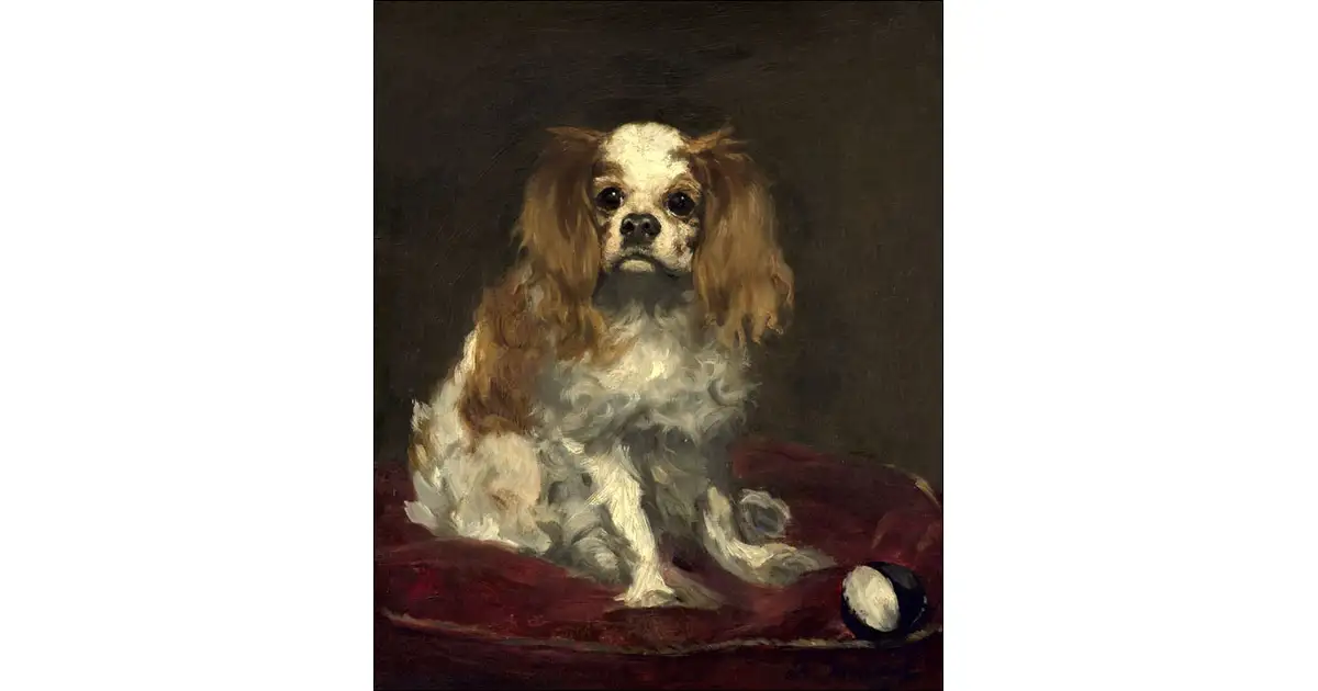 A King Charles Spaniel, Edouard Manet - plakat - Galeria Plakatu