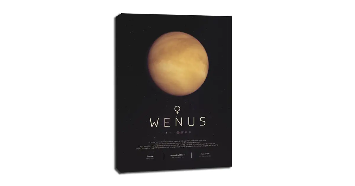 WENUS - obraz na płótnie - Galeria Plakatu