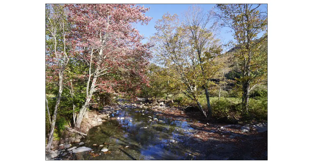 Autumn along the Robbins Branch creek, a tributary of the White River ...