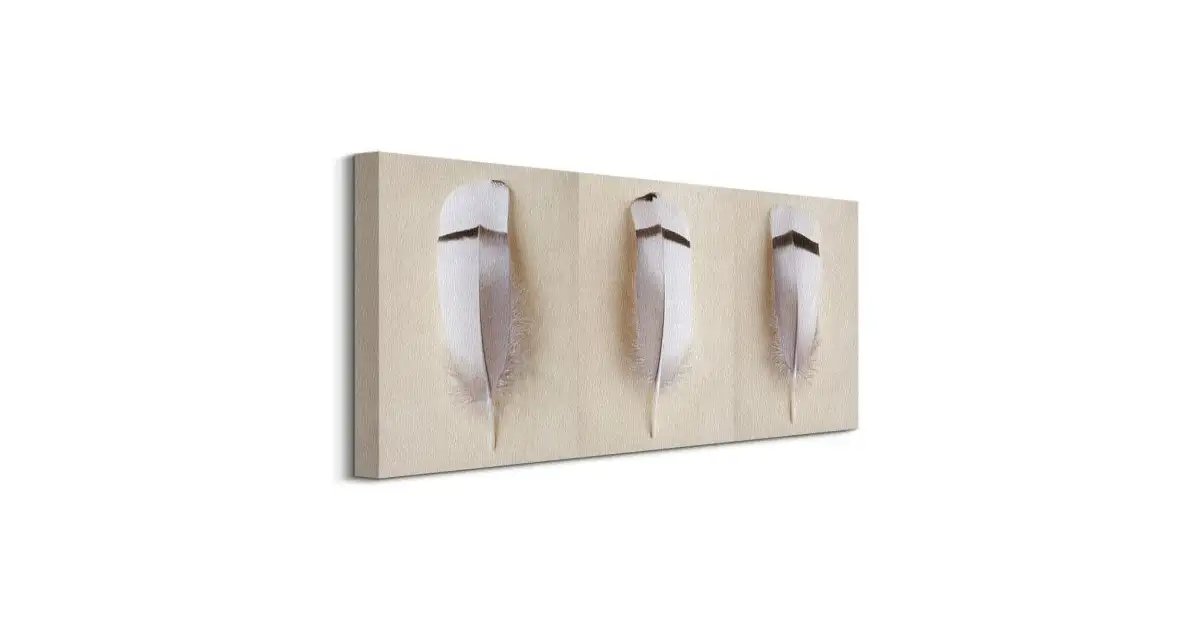 Egyptian Goose Feather Triptych - obraz na płótnie - Galeria Plakatu