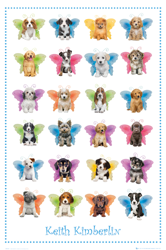 Keith Kimberlin Pieski ze Skrzydełkami Motyli - plakat - Galeria Plakatu