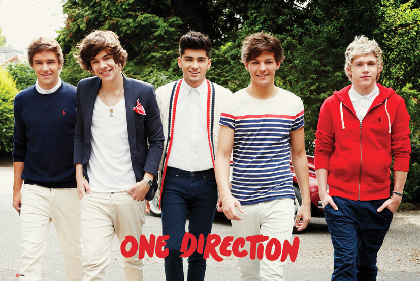 One Direction - park - plakat - Galeria Plakatu
