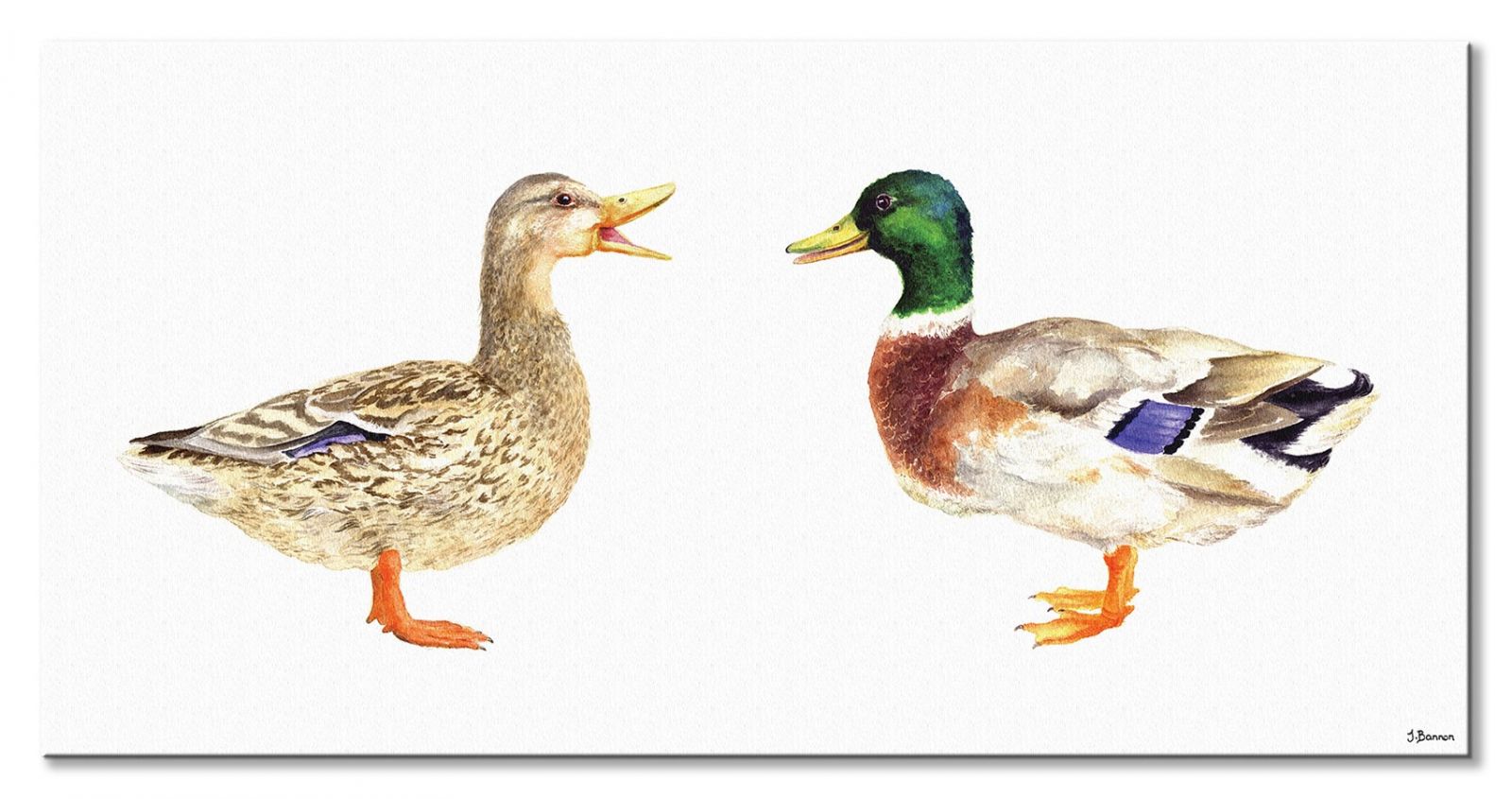 Kaczka i kaczor - obraz na płótnie - Galeria Plakatu