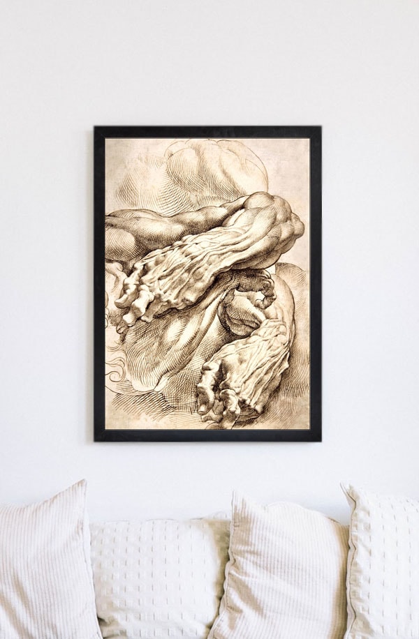 Anatomical Studies a left forearm in two positions and a right forearm ...