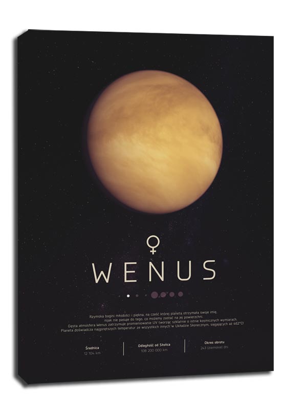 WENUS - obraz na płótnie - Galeria Plakatu