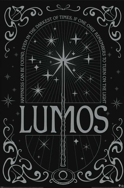 Harry Potter Tragic Beauty Lumos - plakat - Galeria Plakatu